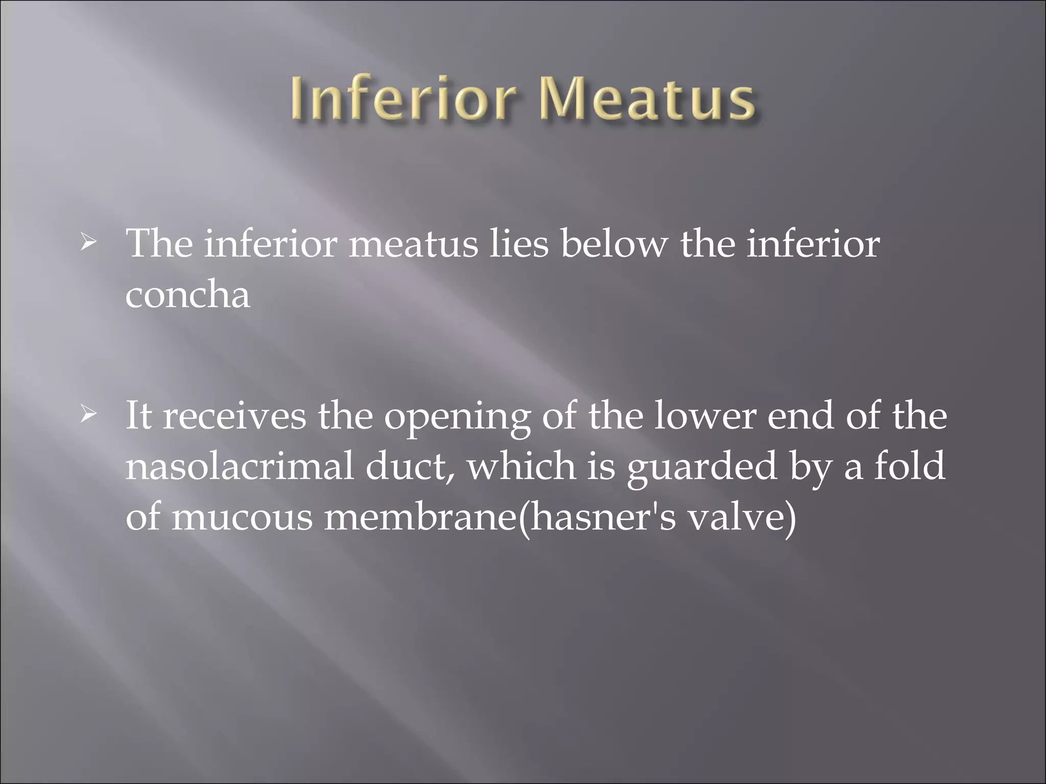 Anatomy nose and nasopharynx r vignesh | PPT