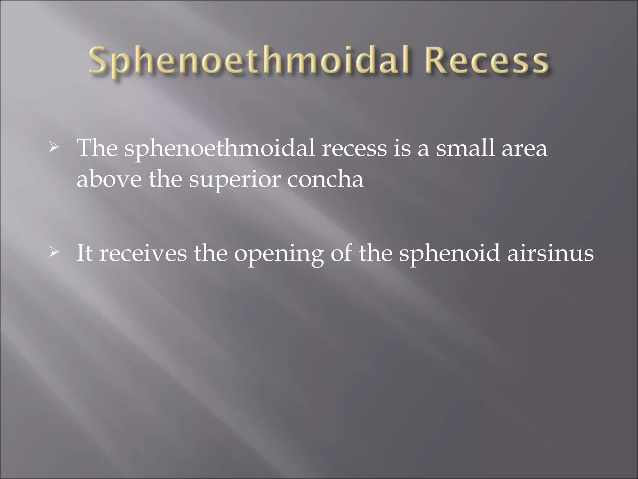 Anatomy nose and nasopharynx r vignesh | PPT