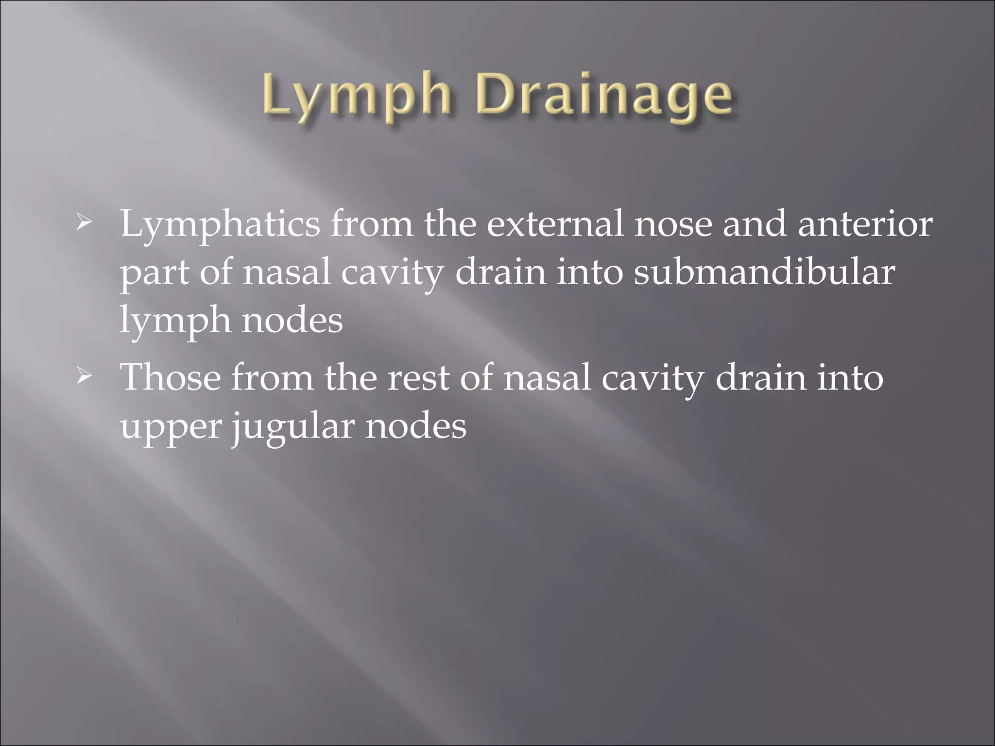 Anatomy nose and nasopharynx r vignesh | PPT