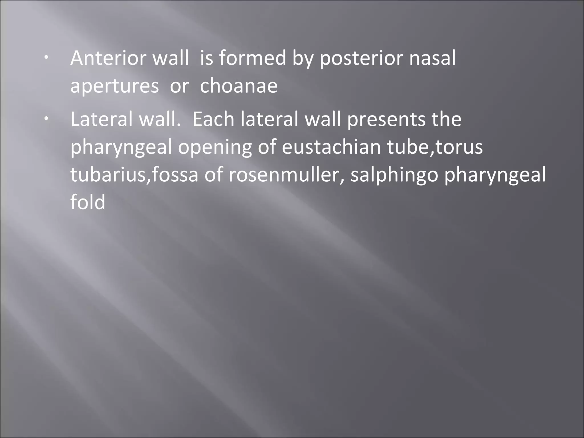Anatomy nose and nasopharynx r vignesh | PPT