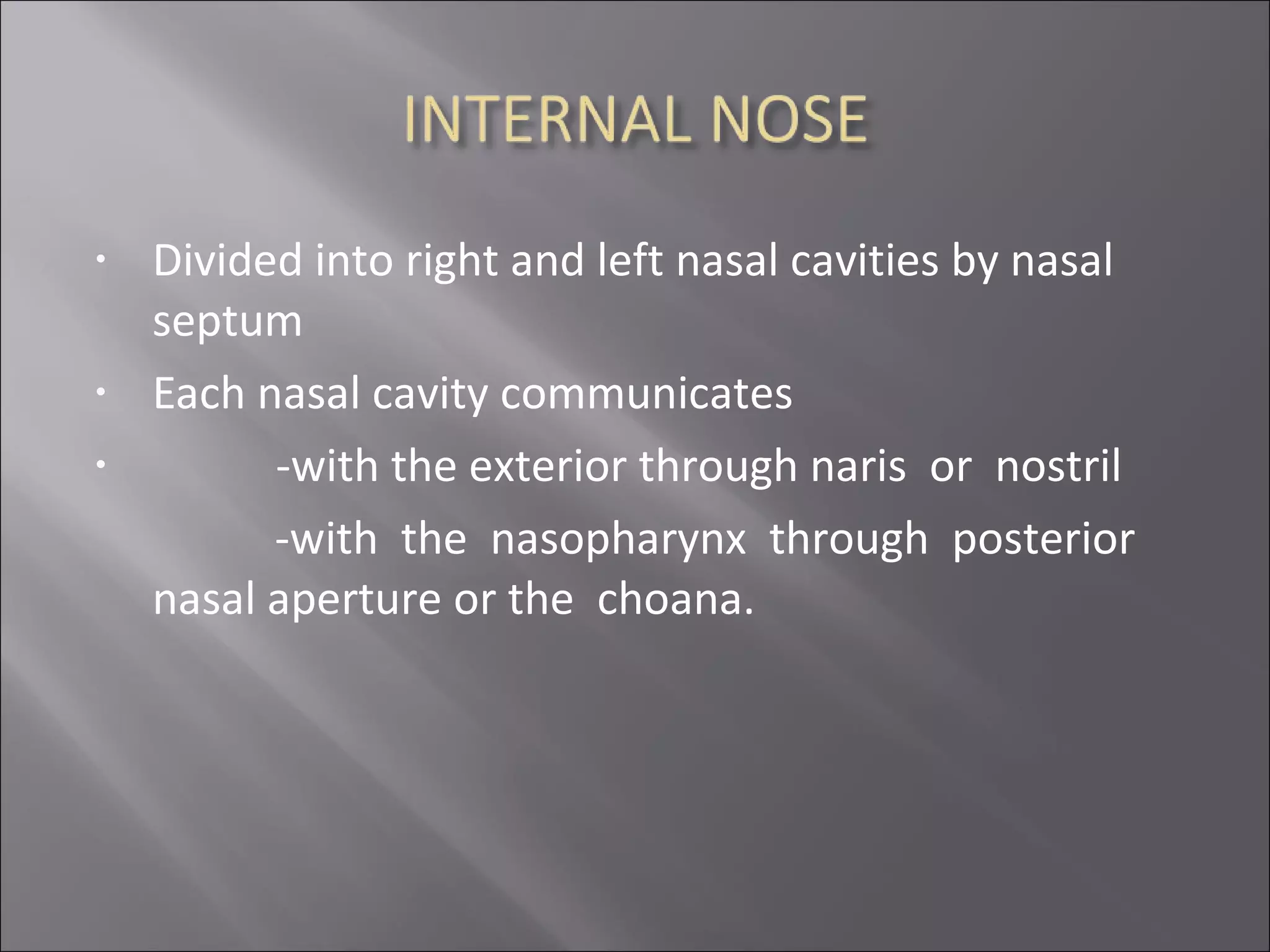 Anatomy nose and nasopharynx r vignesh | PPT