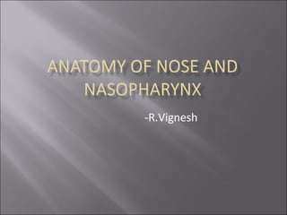 Anatomy nose and nasopharynx r vignesh | PPT