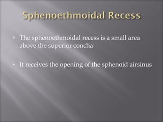 Anatomy nose and nasopharynx r vignesh | PPT