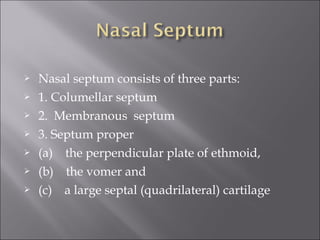 Anatomy nose and nasopharynx r vignesh | PPT
