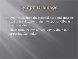 Anatomy nose and nasopharynx r vignesh | PPT
