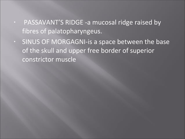 Anatomy nose and nasopharynx r vignesh | PPT