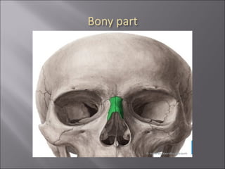 Anatomy nose and nasopharynx r vignesh | PPT