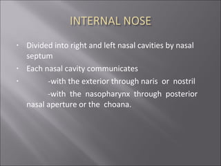Anatomy nose and nasopharynx r vignesh | PPT