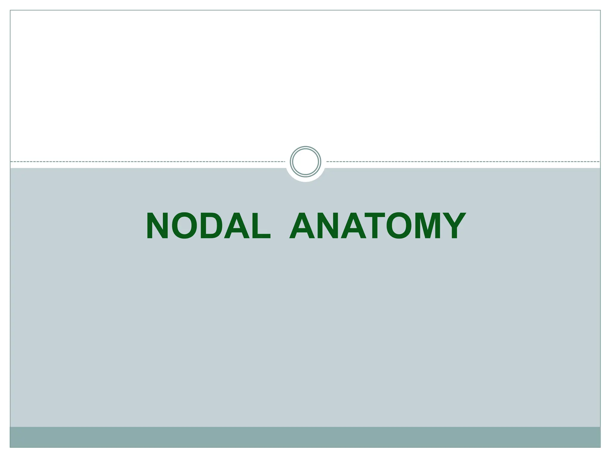 Nodal anatomy, Leaf development & Phyllotaxy | PPTX