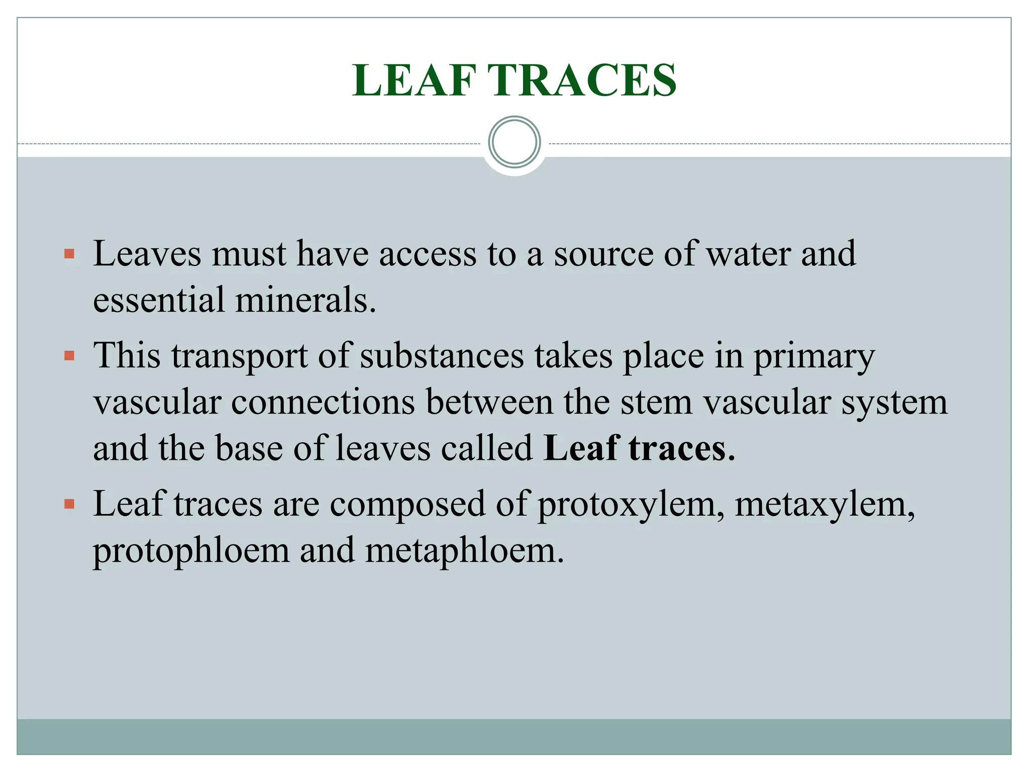 Nodal anatomy, Leaf development & Phyllotaxy | PPTX