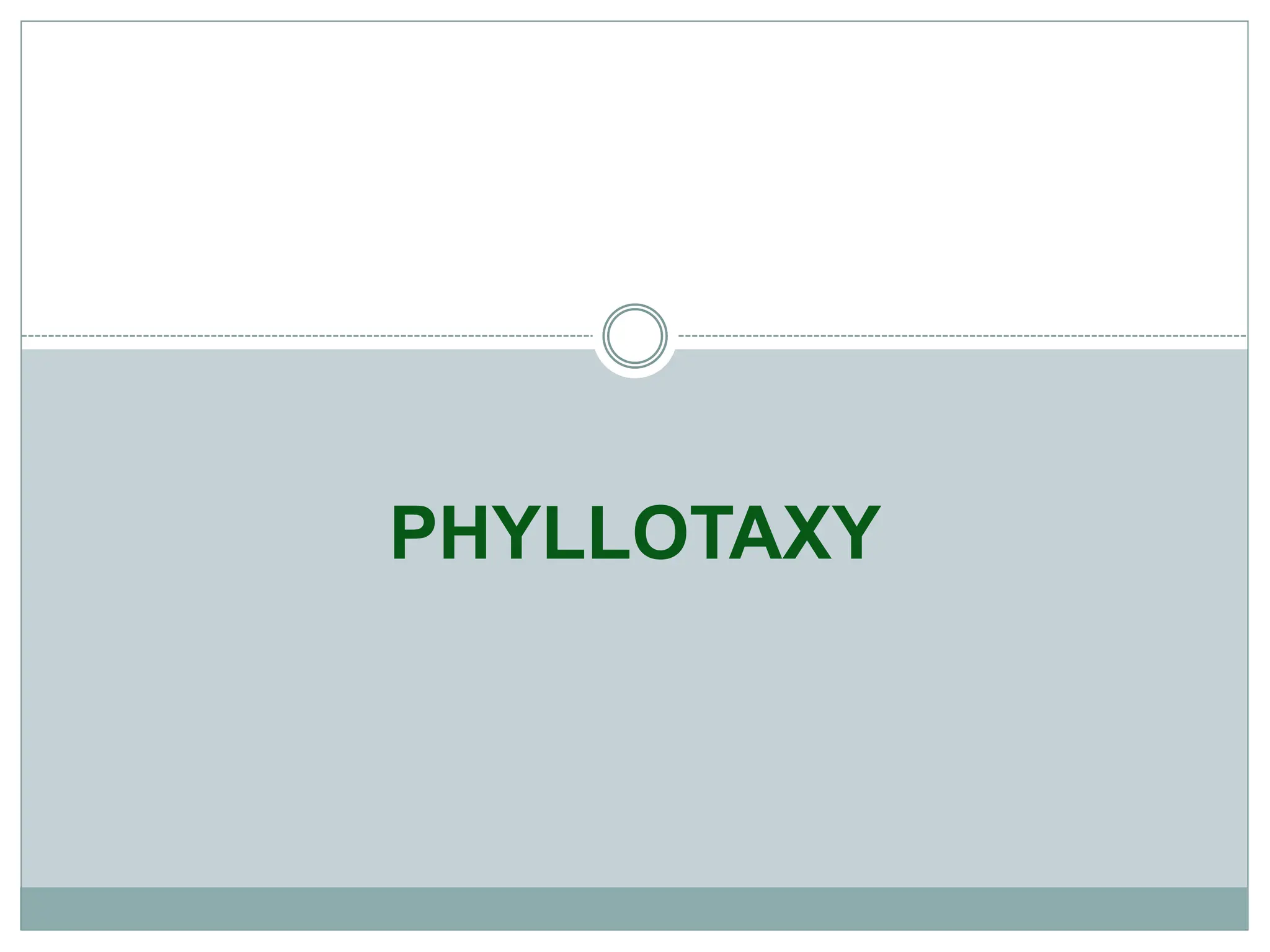 Nodal anatomy, Leaf development & Phyllotaxy | PPTX