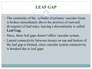Nodal anatomy, Leaf development & Phyllotaxy | PPTX