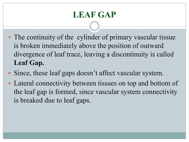 Nodal anatomy, Leaf development & Phyllotaxy | PPTX | Gardening | Home ...