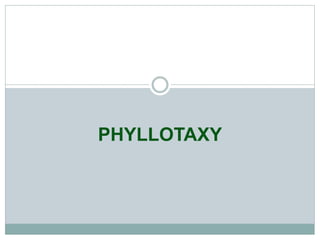 Nodal anatomy, Leaf development & Phyllotaxy | PPTX