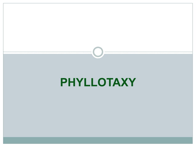 Nodal anatomy, Leaf development & Phyllotaxy | PPTX | Gardening | Home ...