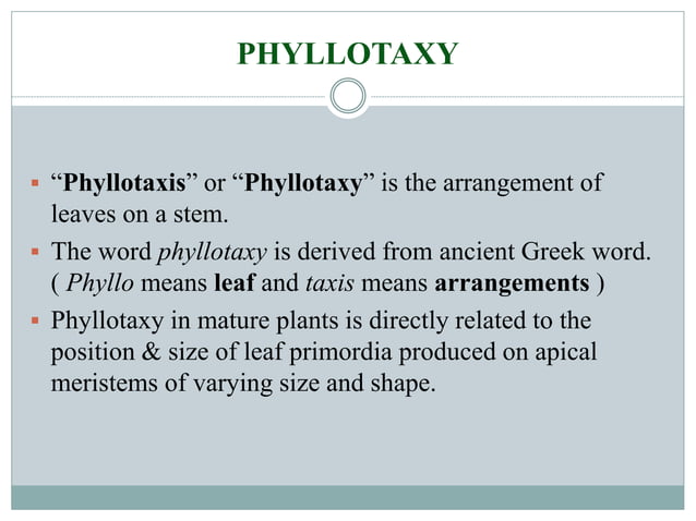 Nodal anatomy, Leaf development & Phyllotaxy | PPTX | Gardening | Home ...
