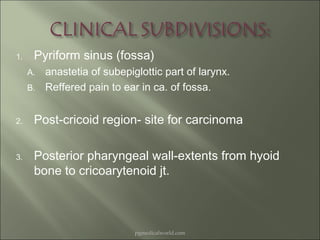 Anatomy n physiology of pharynx 03 | PPT