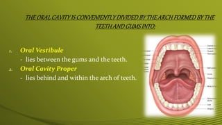 Anatomy of oral cavity | PPTX