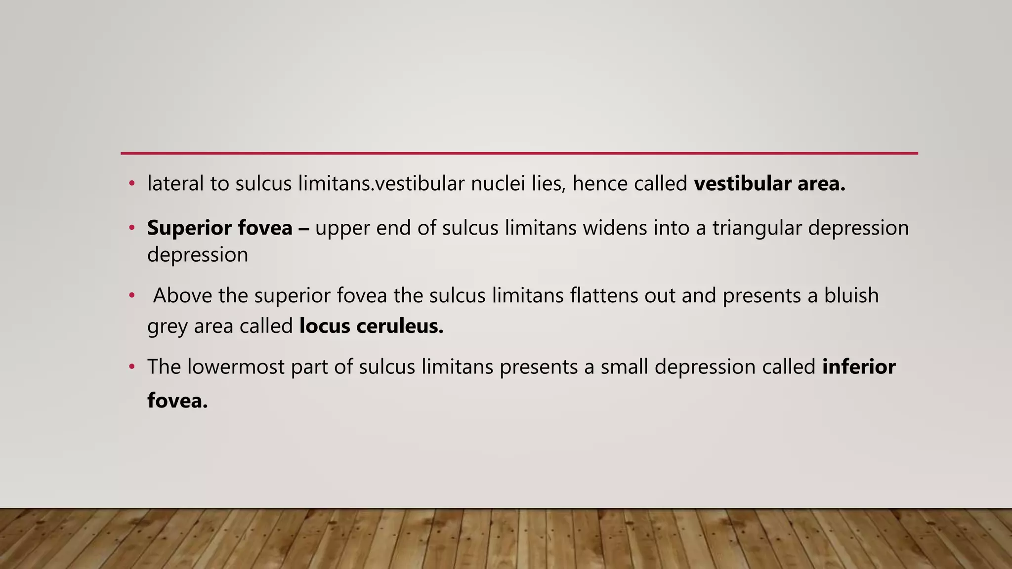 Anatomy of 4th ventricle | PPTX