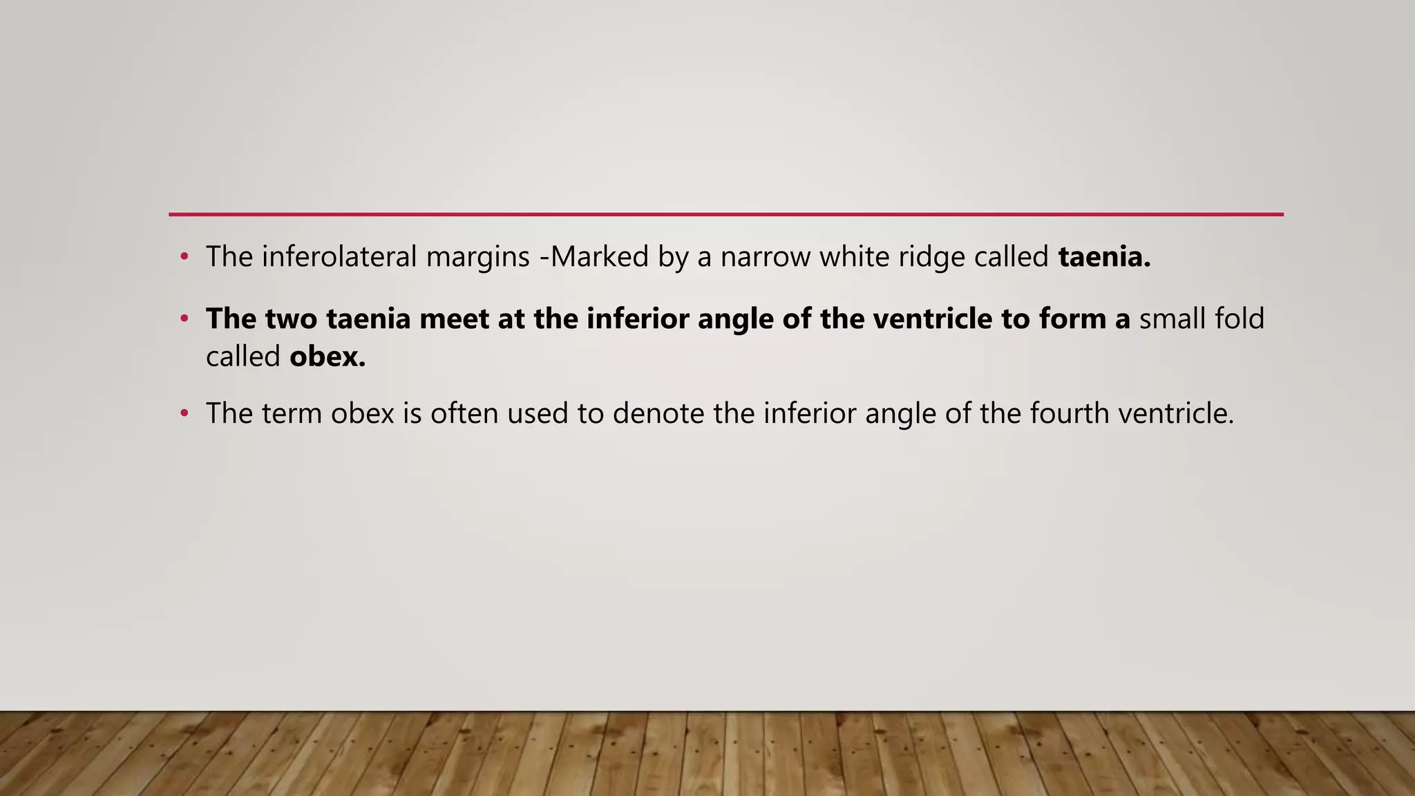 Anatomy of 4th ventricle | PPTX