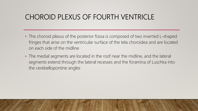 Anatomy of 4th ventricle | PPTX
