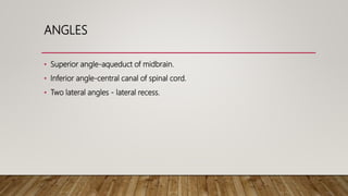 Anatomy of 4th ventricle | PPTX