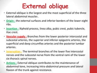 Anatomy of aaw | PPTX