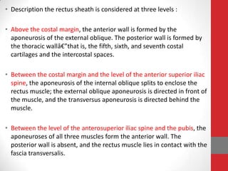 Anatomy of aaw | PPTX