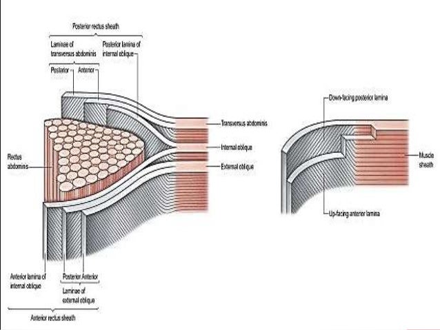 Anatomy of aaw