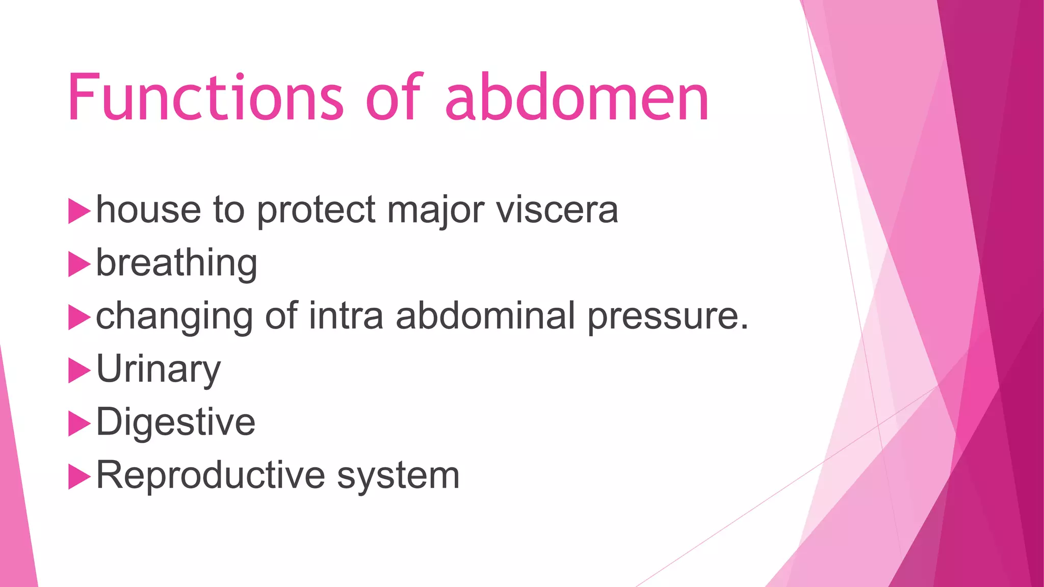 Anatomy of Abdomen.pptx