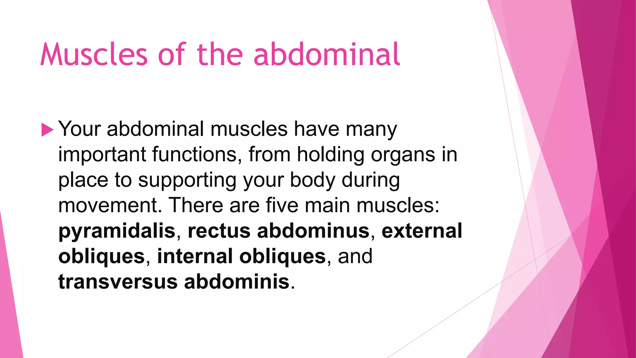 Anatomy of Abdomen.pptx