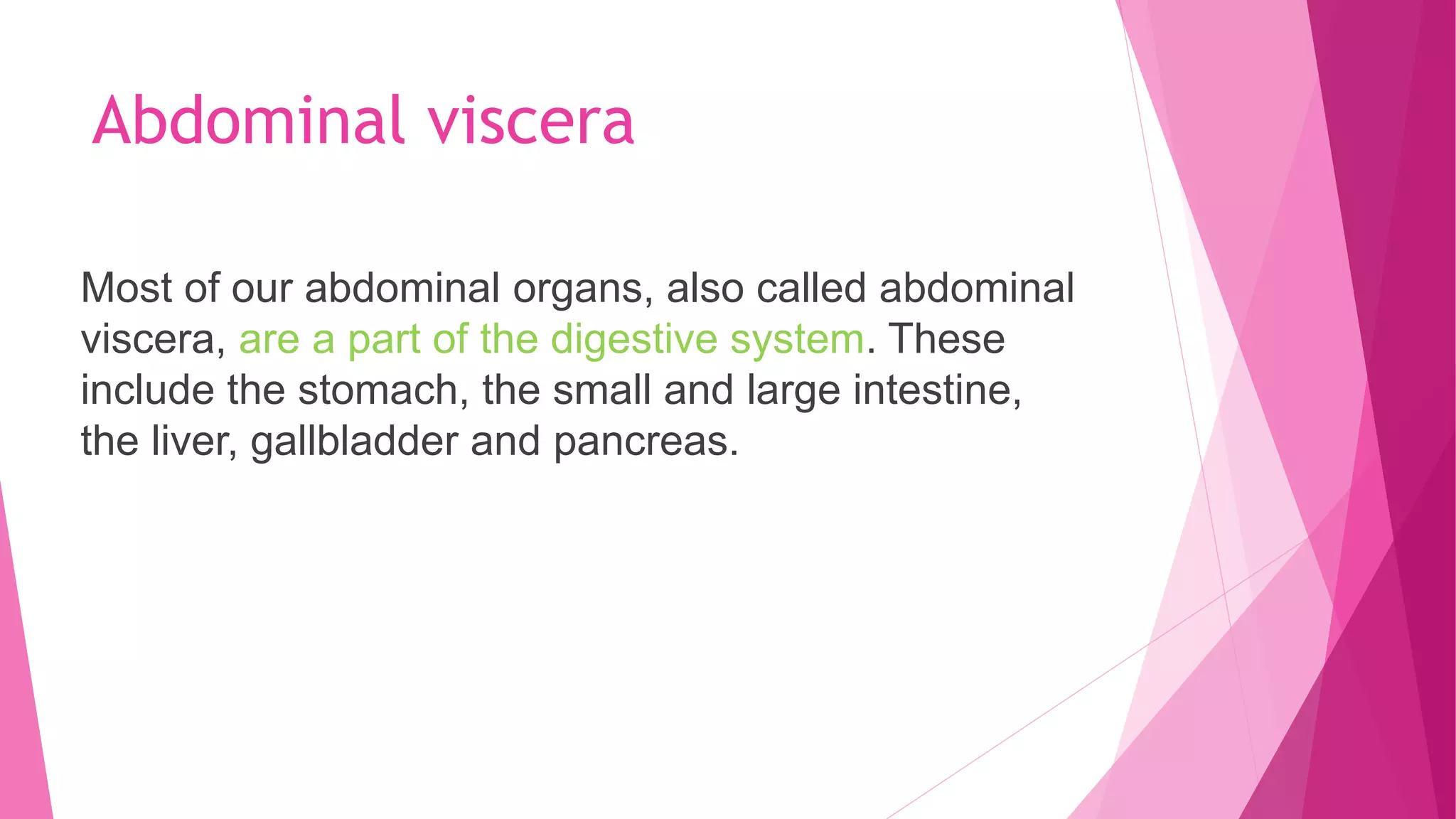 Anatomy of Abdomen.pptx