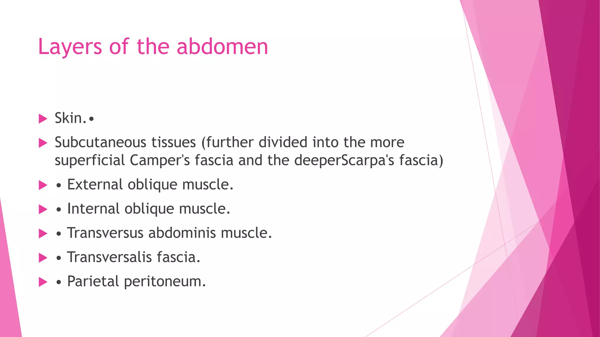 Anatomy of Abdomen.pptx