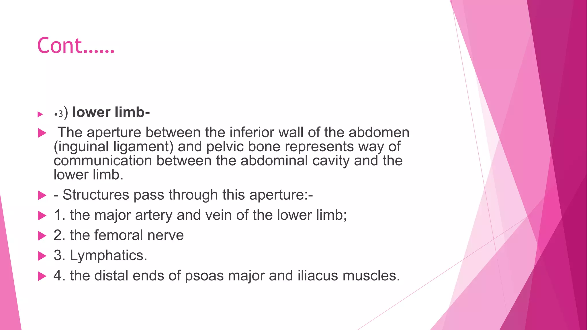 Anatomy of Abdomen.pptx