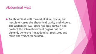 Anatomy of Abdomen.pptx