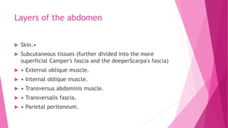 Anatomy of Abdomen.pptx