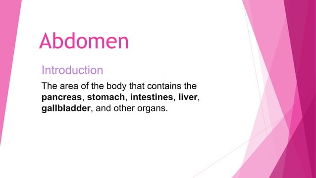 Anatomy of Abdomen.pptx