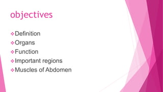 Anatomy of Abdomen.pptx