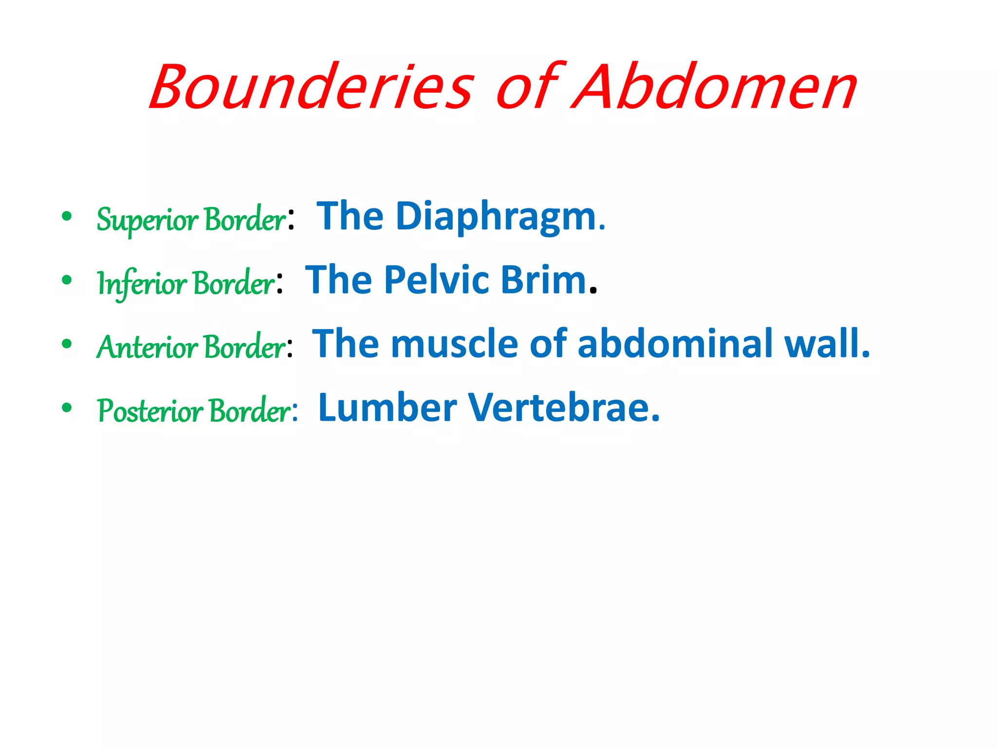 Anatomy of abdomen (1) | PPTX