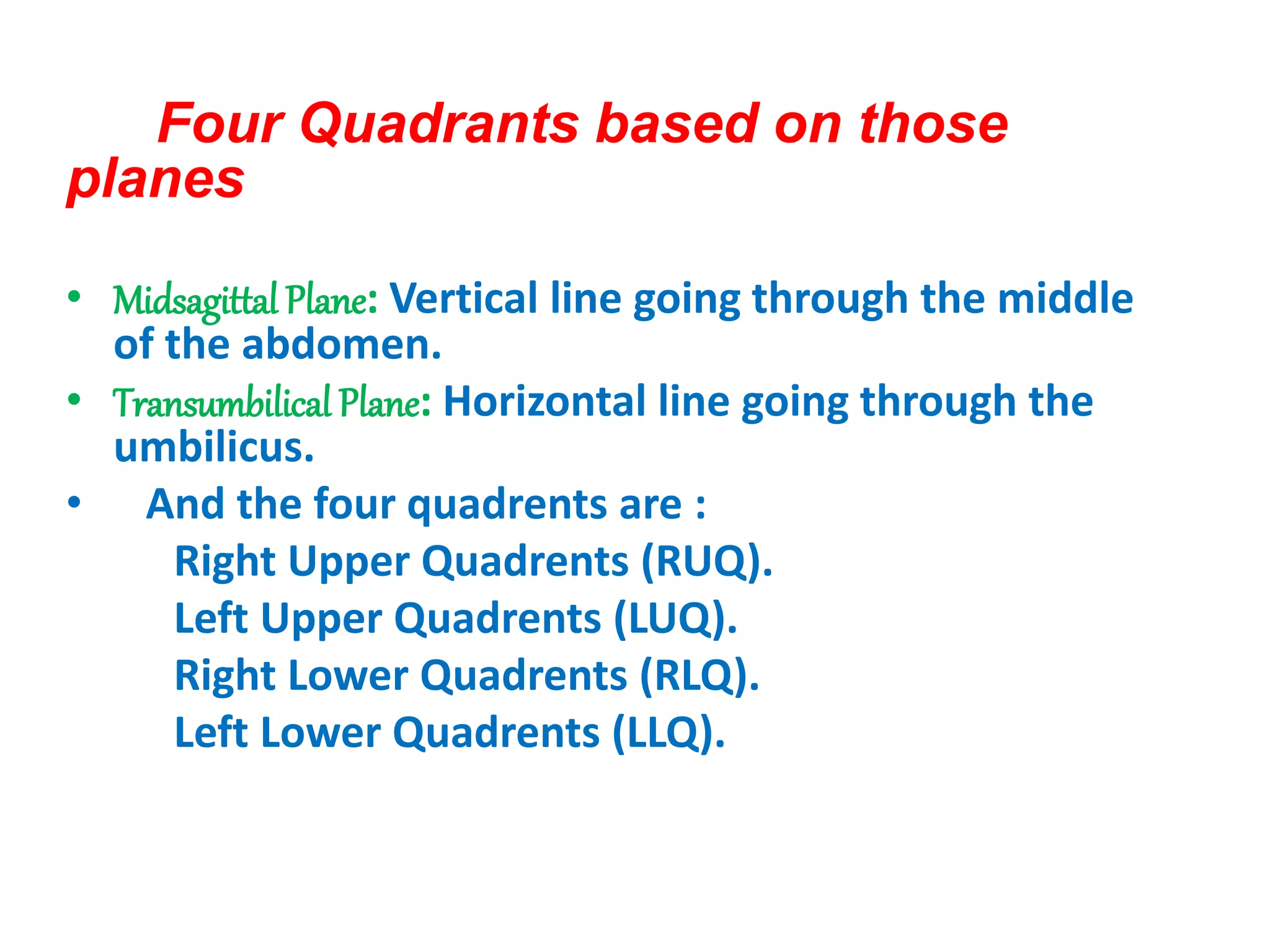 Anatomy of abdomen (1) | PPTX
