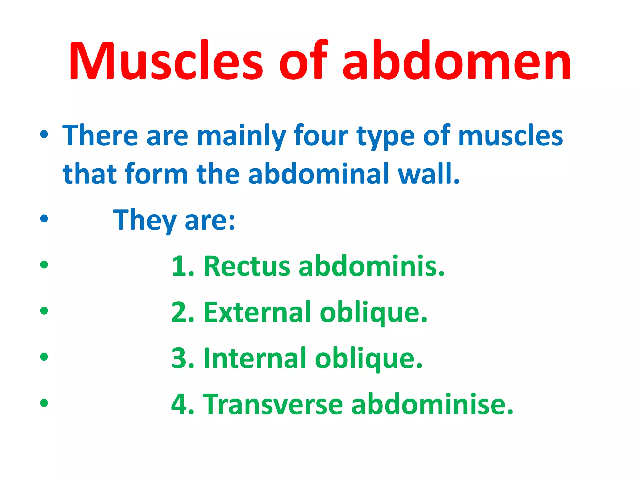 Anatomy of abdomen (1) | PPTX