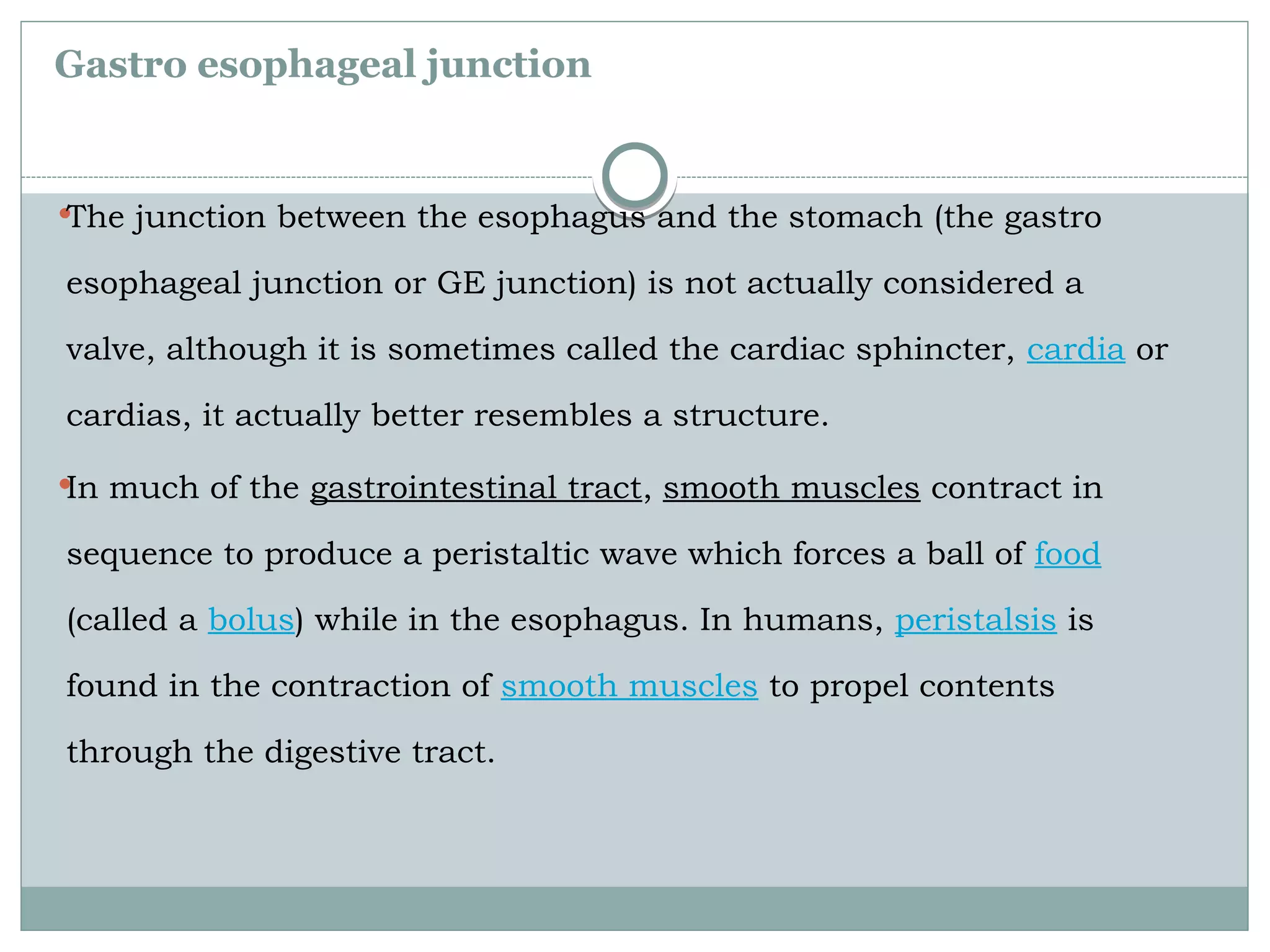 Anatomy of abdomen for HO.pdf