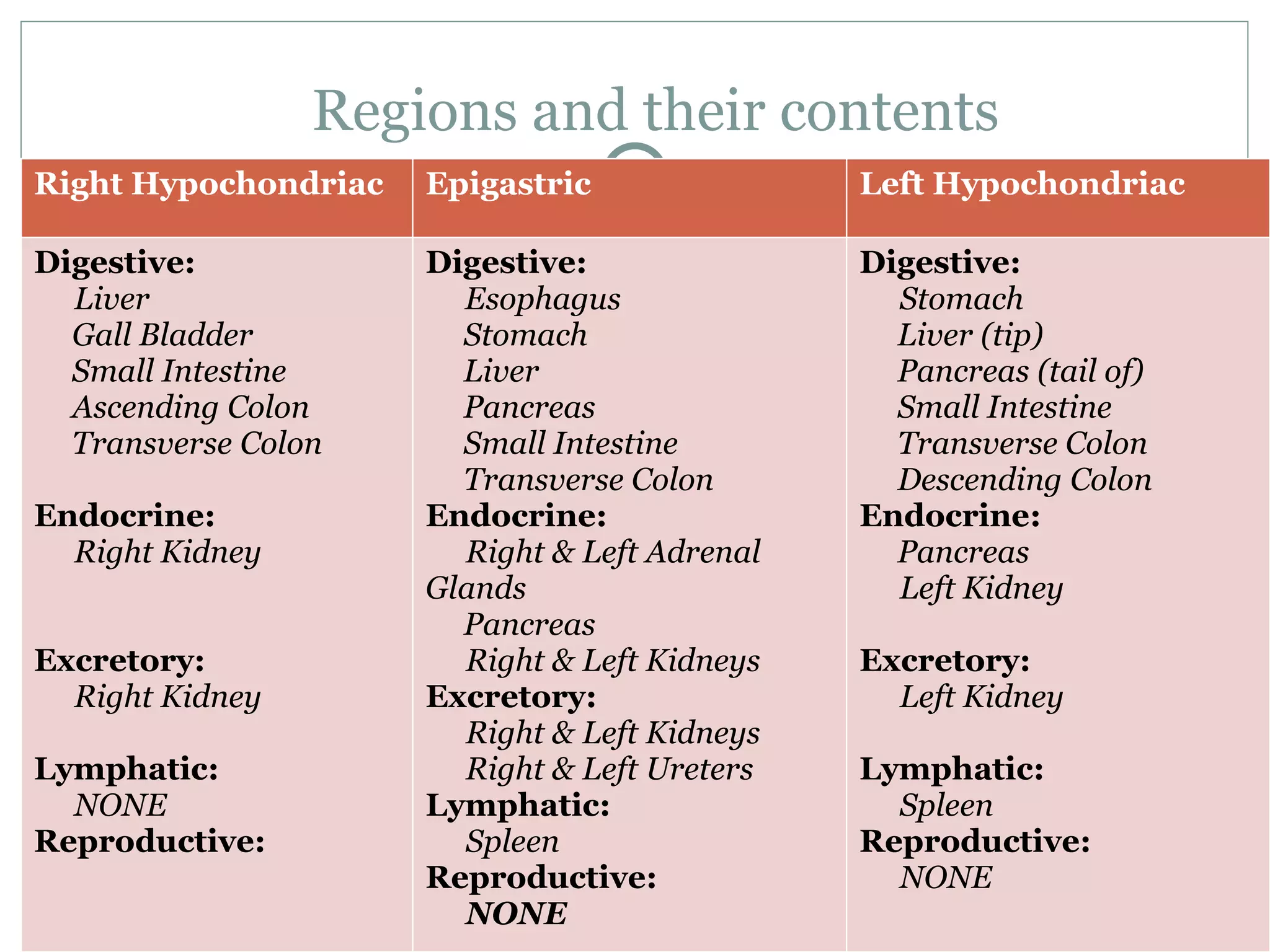 Anatomy of abdomen for HO.pdf