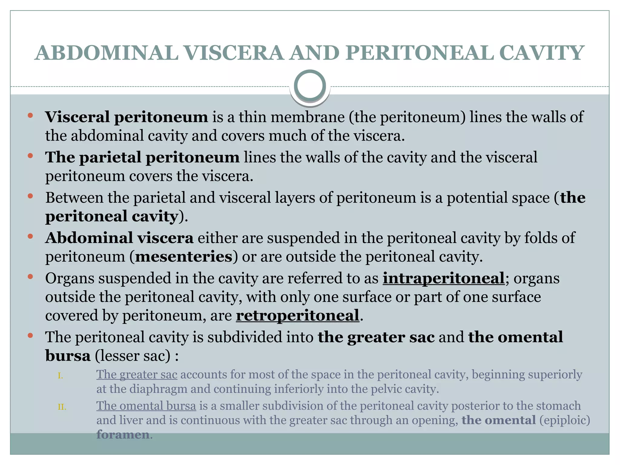 Anatomy of abdomen for HO.pdf