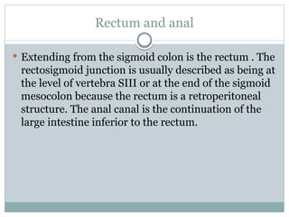 Anatomy of abdomen for HO.pdf