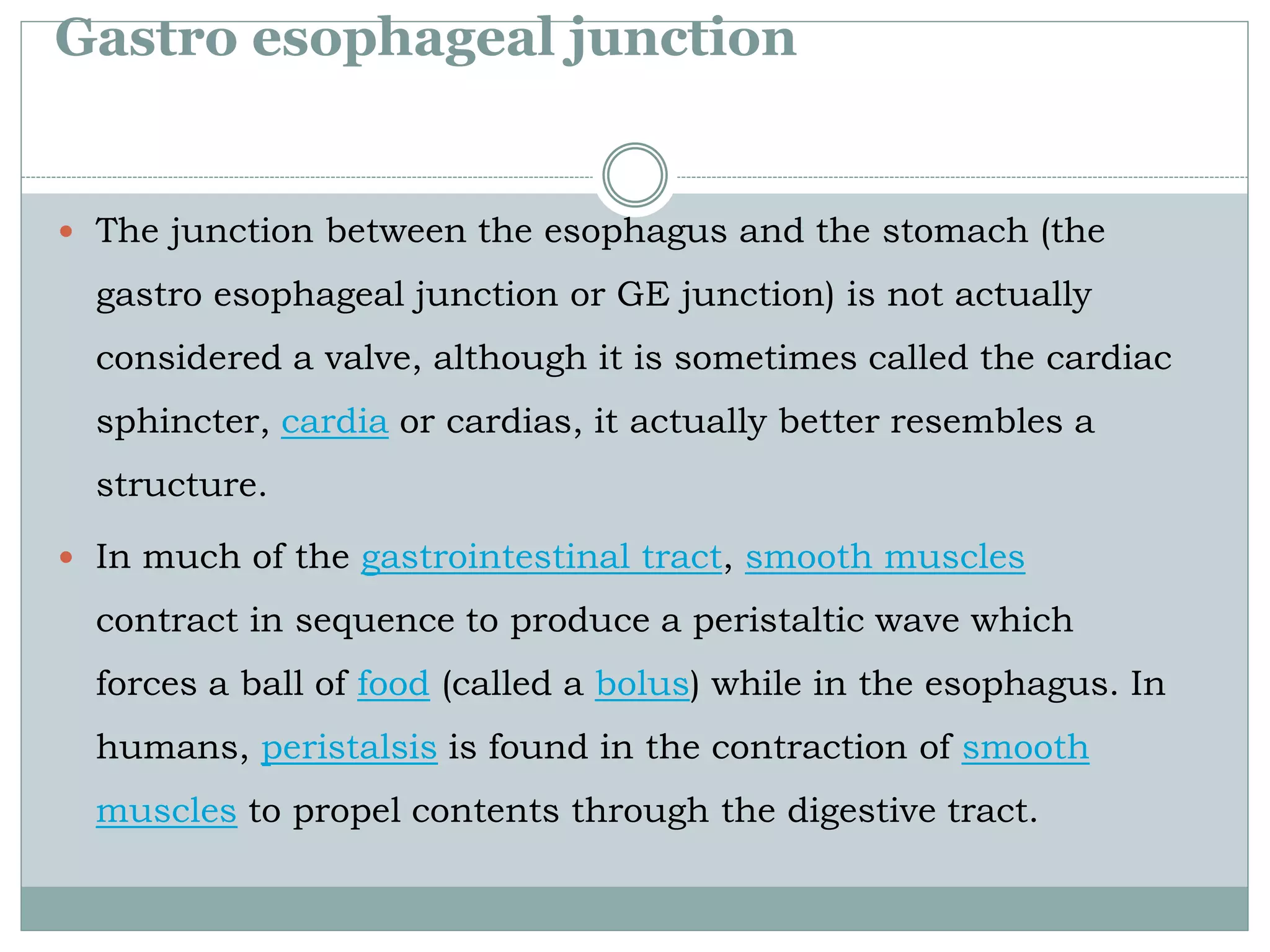 Anatomy of abdomen and regions of trunk | PPTX
