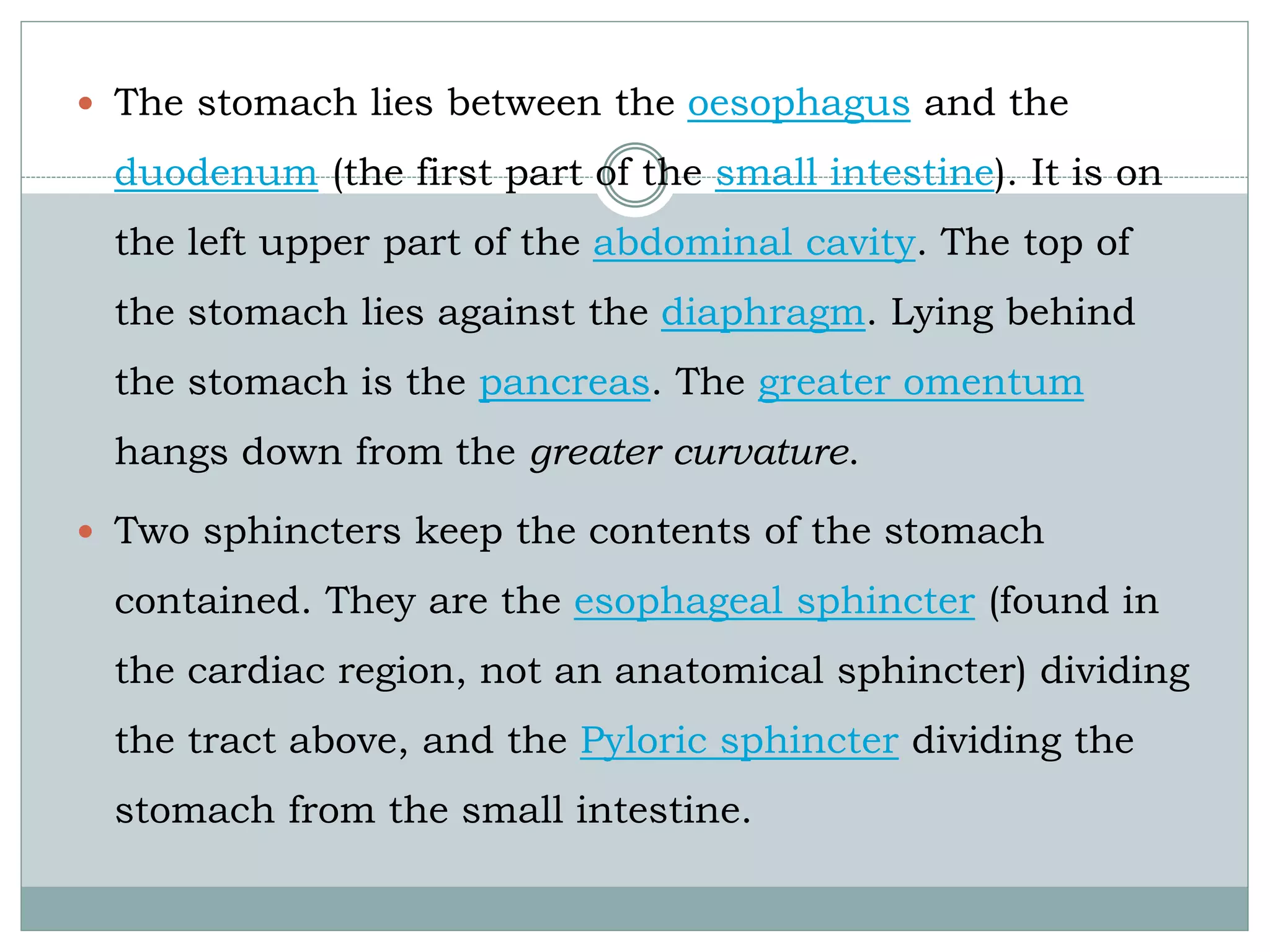 Anatomy of abdomen and regions of trunk | PPTX