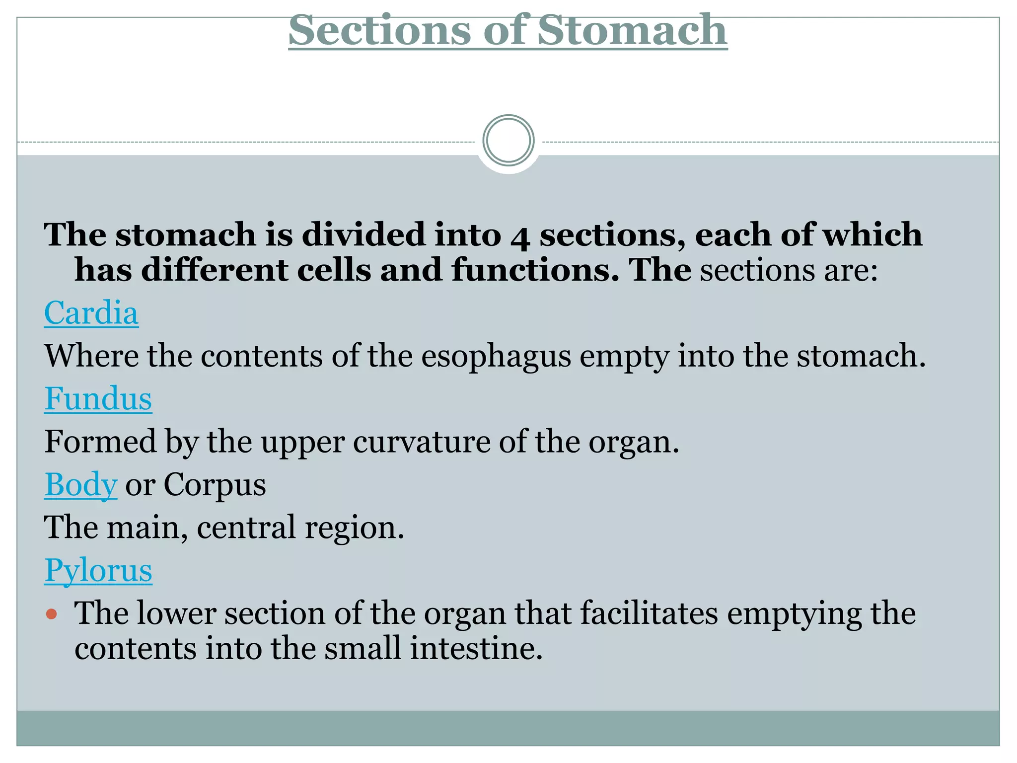 Anatomy of abdomen and regions of trunk | PPTX