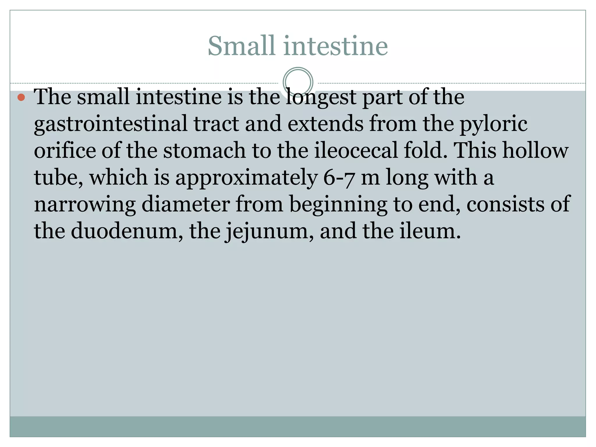 Anatomy of abdomen and regions of trunk | PPTX
