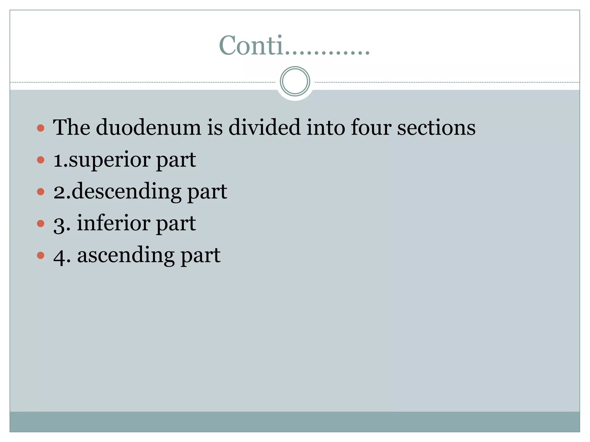 Anatomy of abdomen and regions of trunk | PPTX